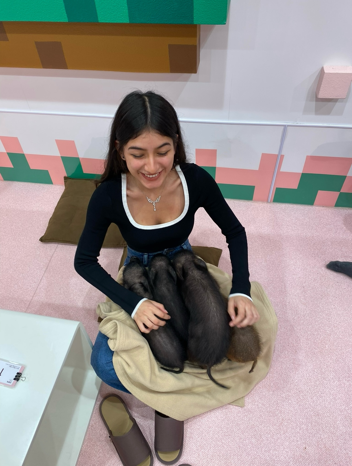 Interests: Learn More About Me – Rachel Alvarado